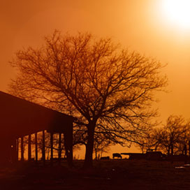 GALLERY | Slidell, Texas