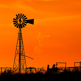 GALLERY | Slidell, Texas