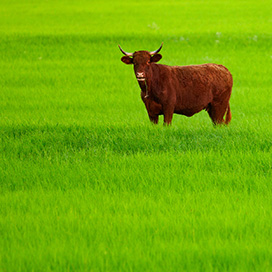 GALLERY | Slidell, Texas