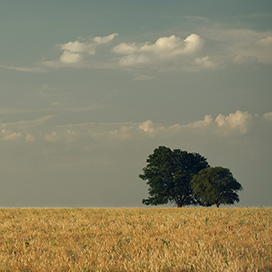 GALLERY | Slidell, Texas