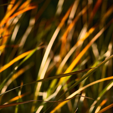 REVIEW | Mamiya ZD dSLR